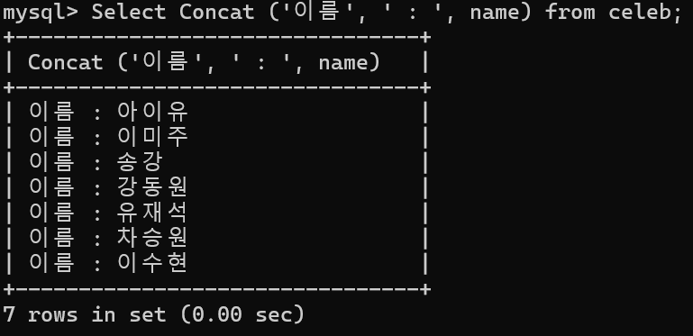 SQL Concat, Alias, Distinct, Limit 20240908