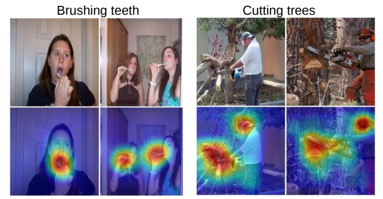 CAM(Class Activation Map) 구현