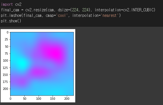 CAM(Class Activation Map) 구현