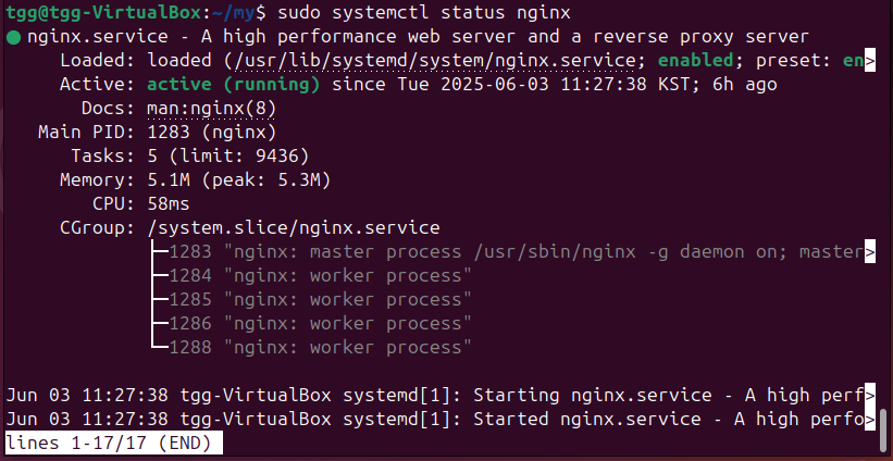 Nginx 설치, 웹 페이지 띄우기