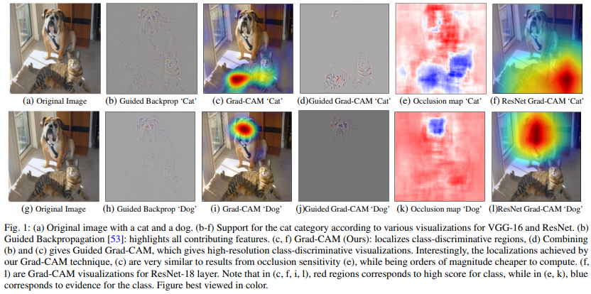 Grad Cam Visual Explanations From Deep Networks Via Gradient Based
