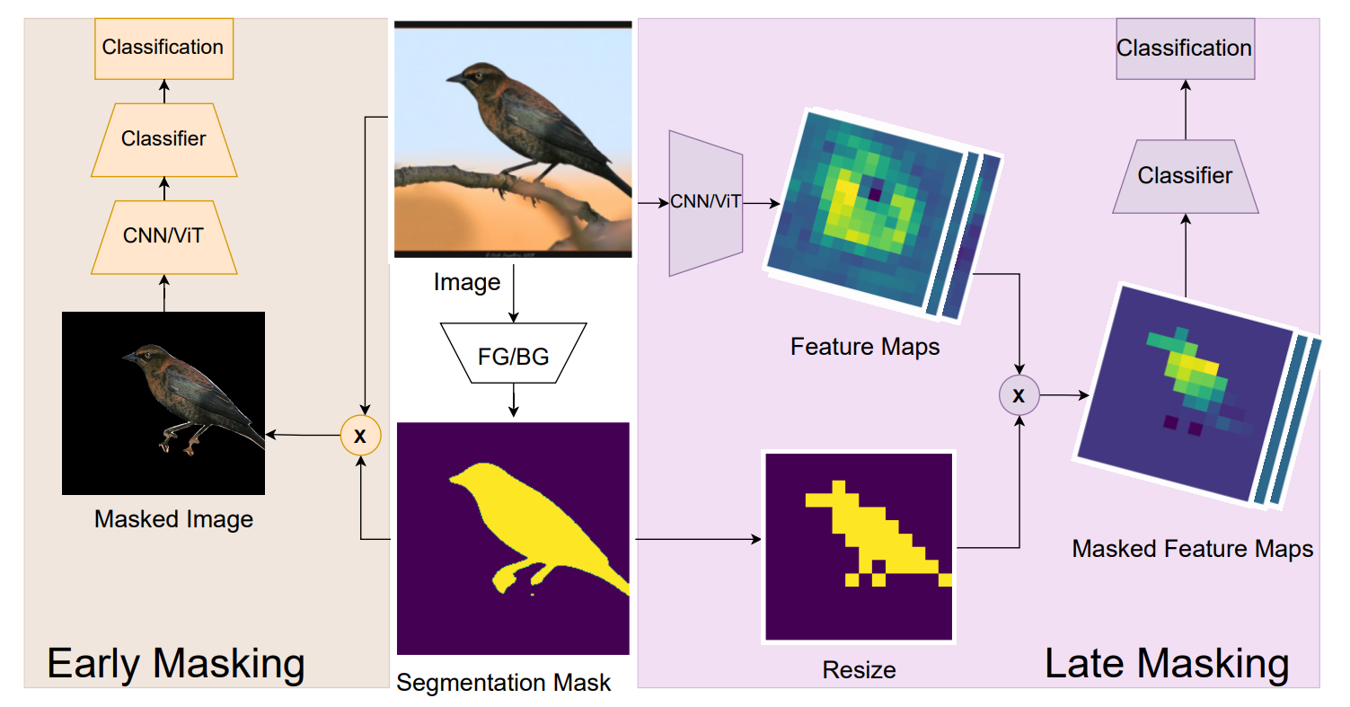 [논문리뷰] Masking Strategies for Background Bias Removal in Computer ...