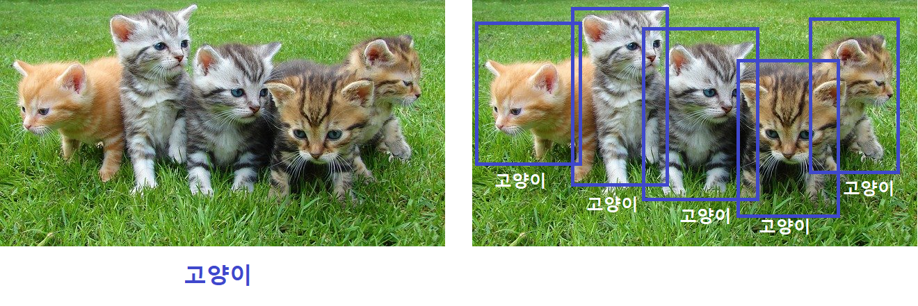 Object Detection And Semantic Segmentation