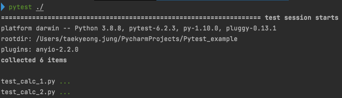 TDD - Pytest CLI 실행