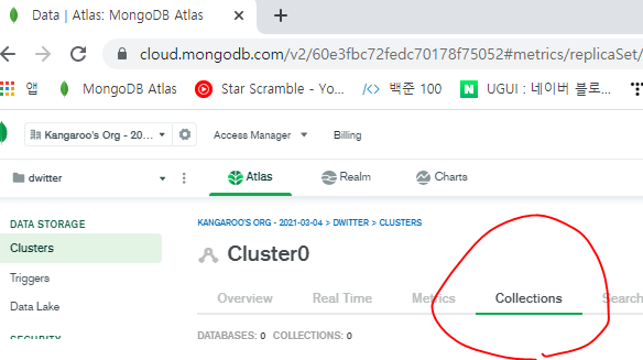 Nodejs Mongodb 연결