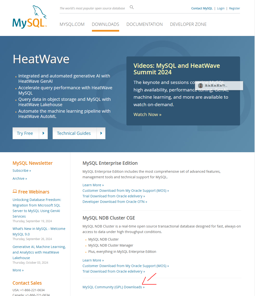 LOCAL 환경에서 DB를 연결해보자(prisma, mysql, dbeaver)