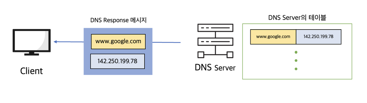 DNS & ARP