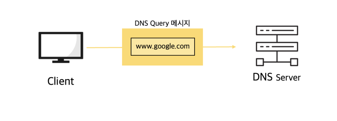 DNS & ARP