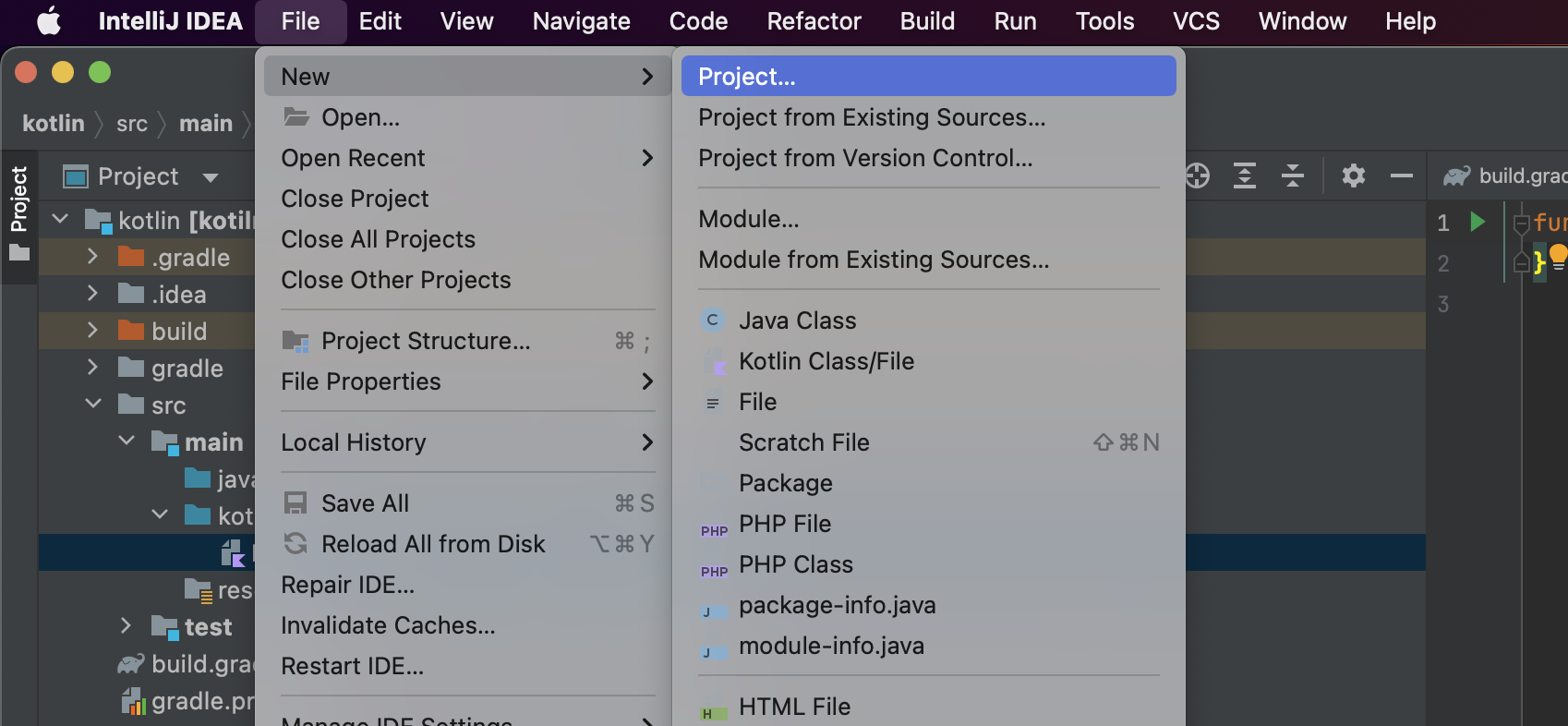 kotlin 인텔리제이 hello world 찍기