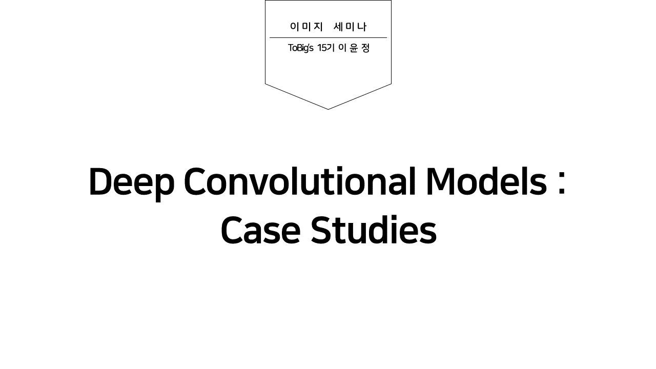 Deep Convolutional Models: Case Studies