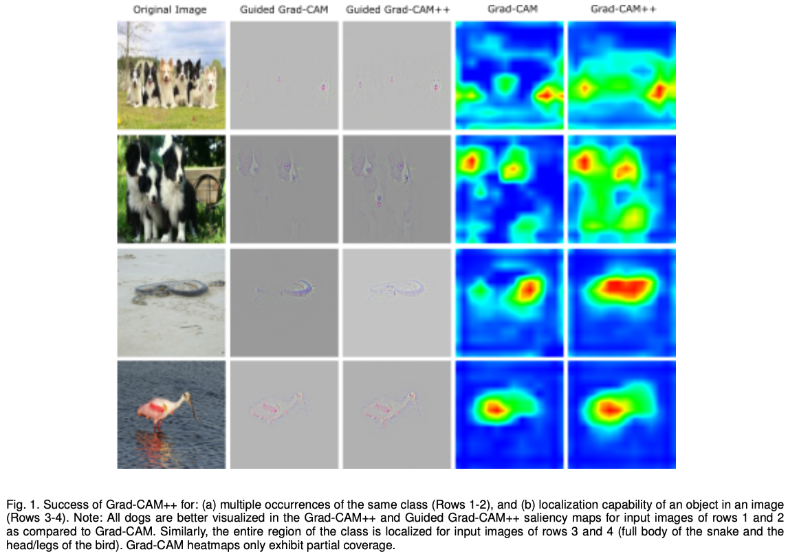 [6주차] 논문리뷰: CAM, Grad-CAM, Grad-CAM++