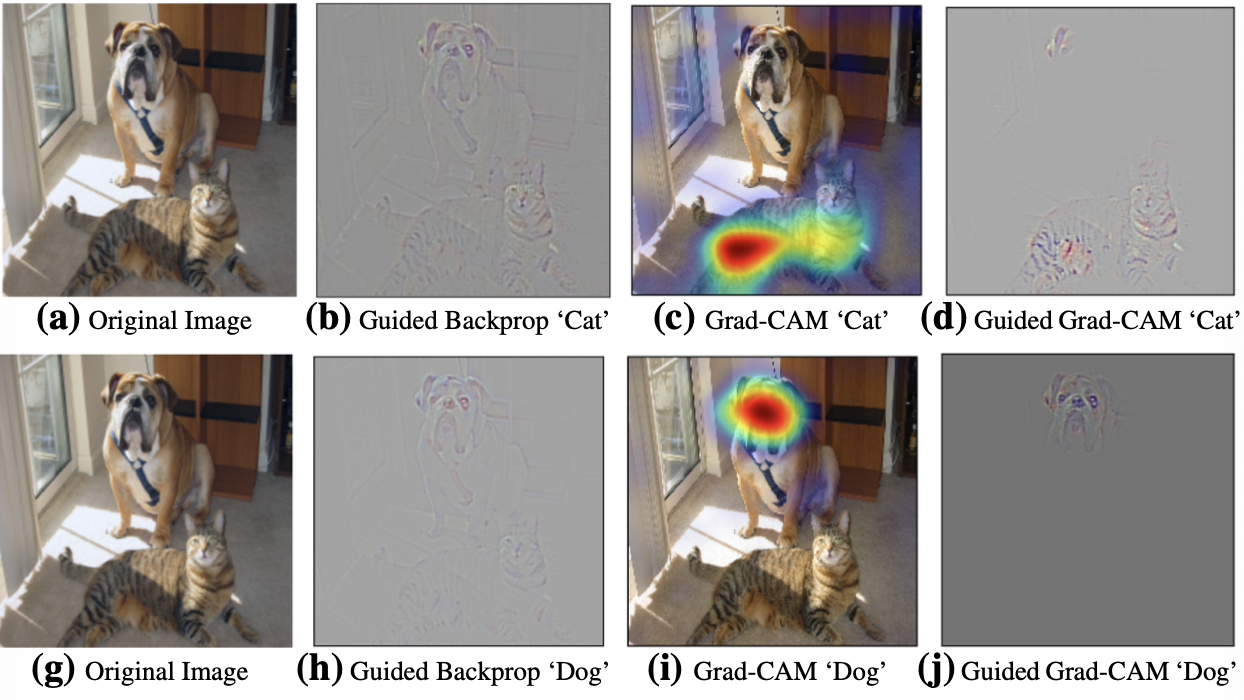 [6주차] 논문리뷰: CAM, Grad-CAM, Grad-CAM++