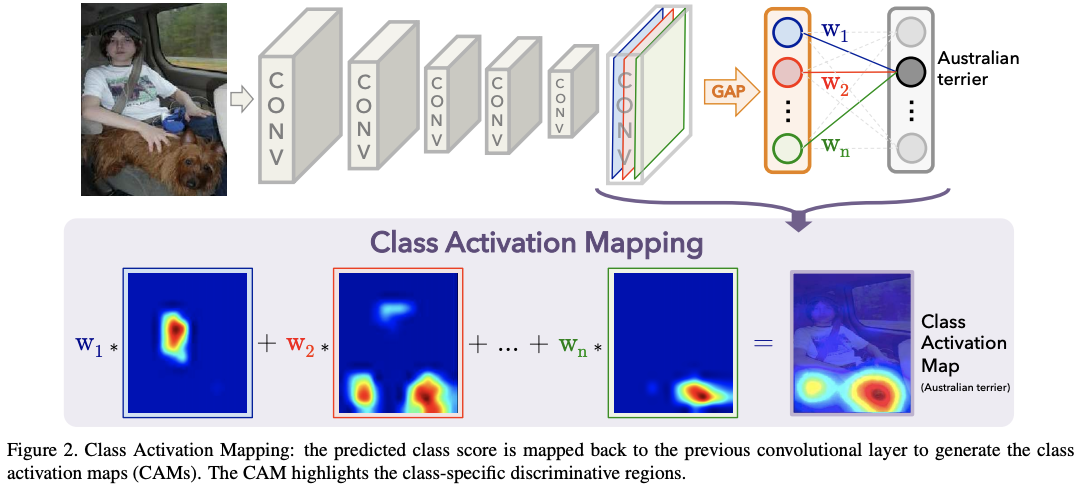 [6주차] 논문리뷰: CAM, Grad-CAM, Grad-CAM++
