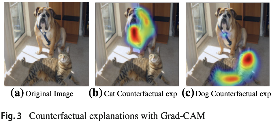 [6주차] 논문리뷰: CAM, Grad-CAM, Grad-CAM++