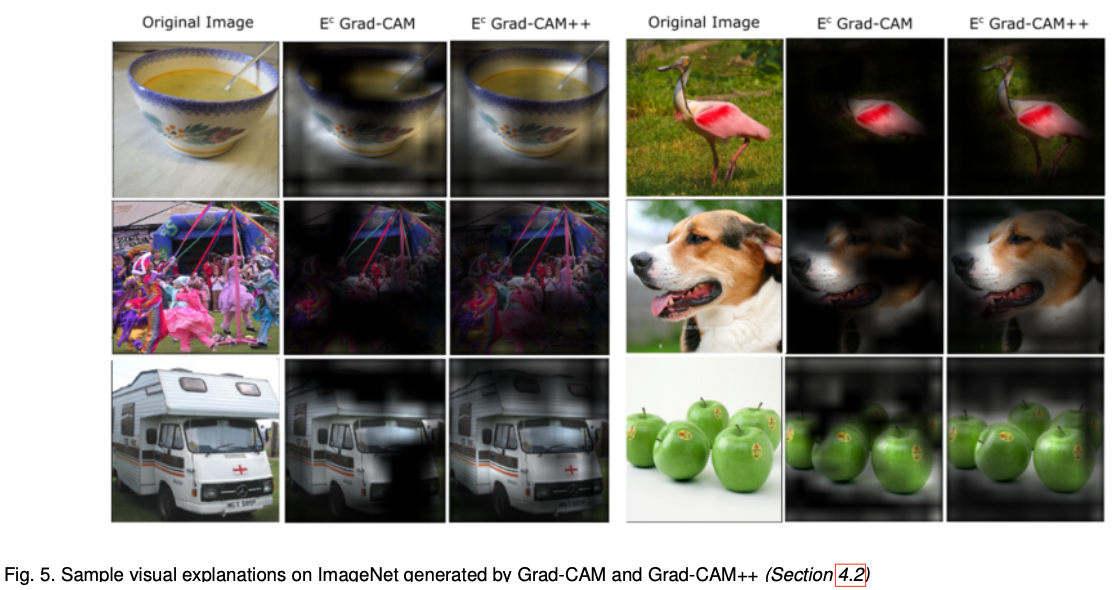 [6주차] 논문리뷰: CAM, Grad-CAM, Grad-CAM++