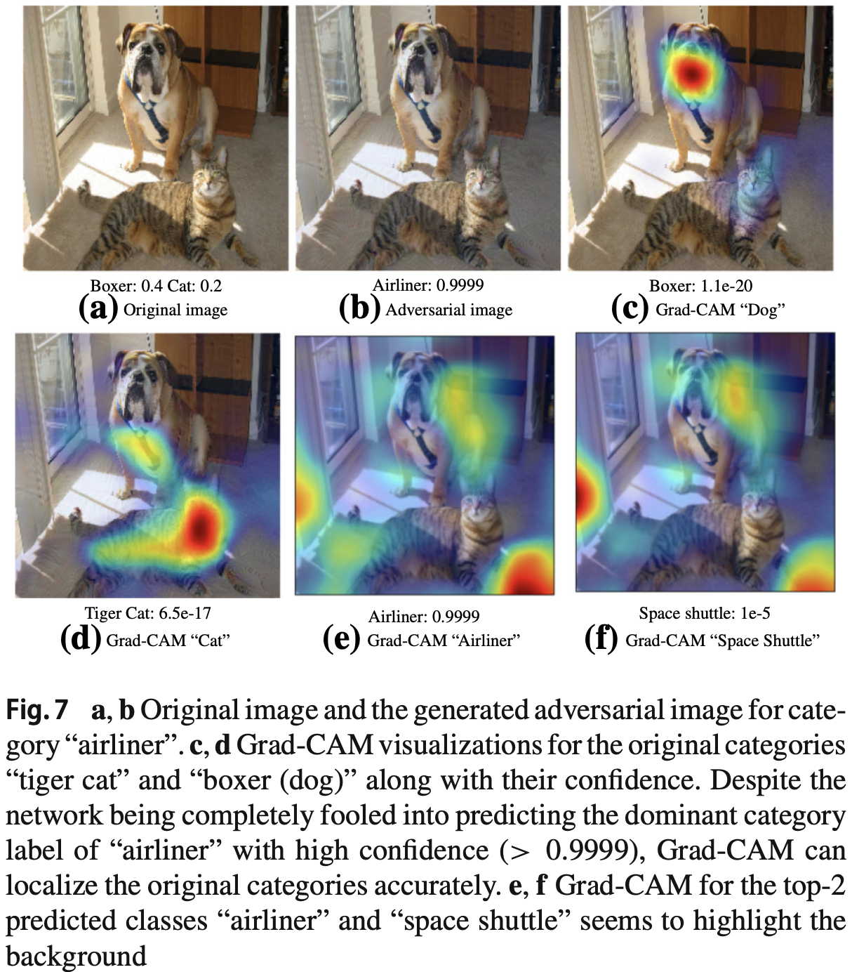 [6주차] 논문리뷰: CAM, Grad-CAM, Grad-CAM++