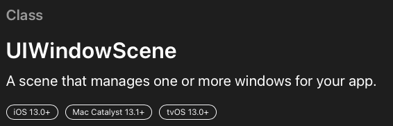 Screen Scene Window 차이