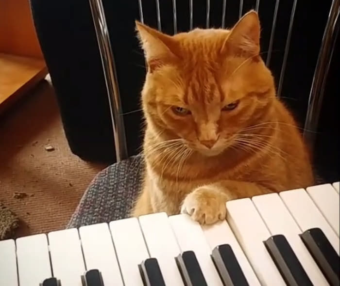 SQL에서 서브쿼리 vs WITH 구문