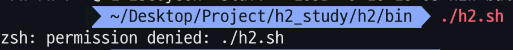 [H2 DB] zsh: permission denied