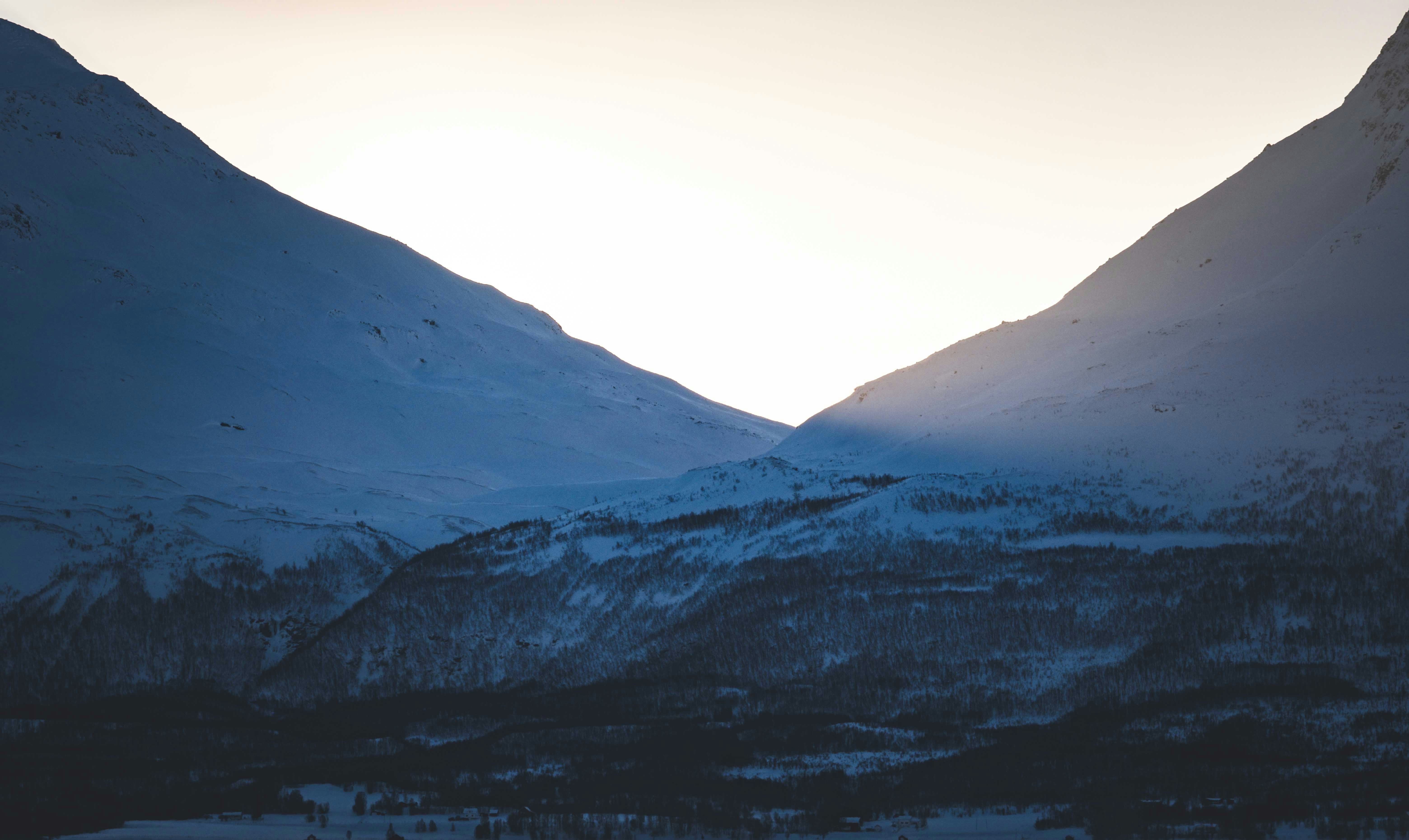 CS- RDBMS와 NoSQL의 차이