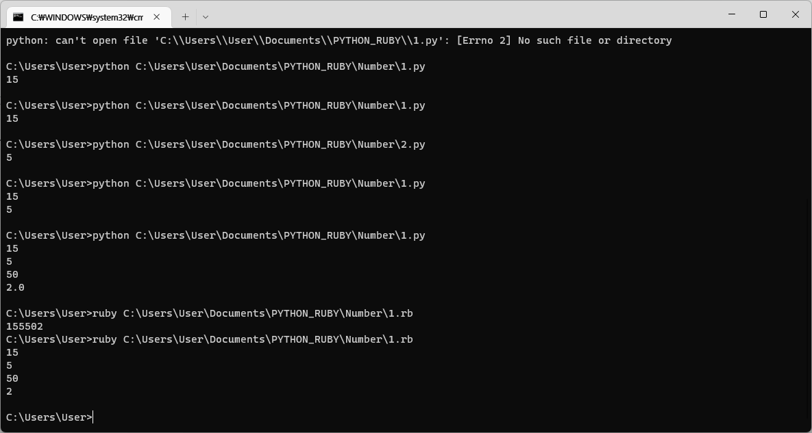 python, ruby 실행하기