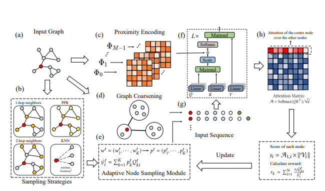 [Paper Review] Hierarchical Graph Transformer with Adaptive Node Sampling