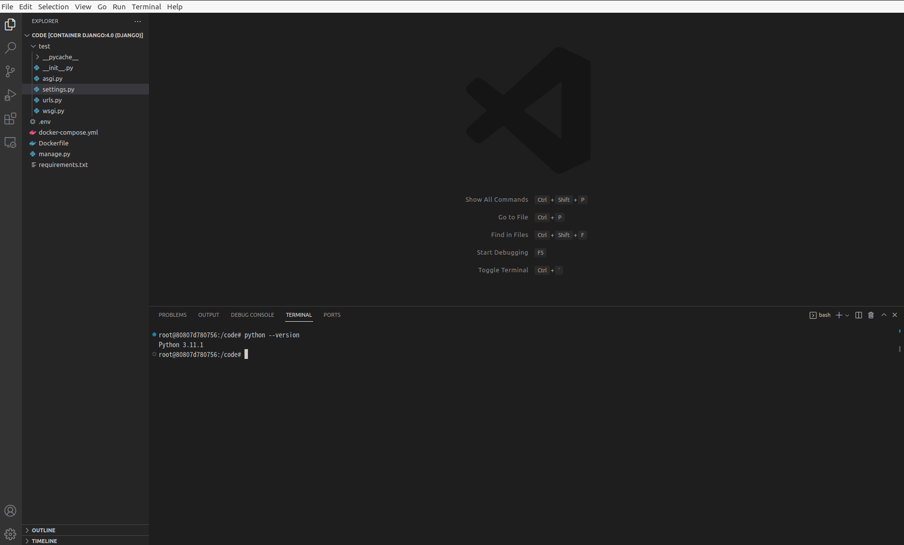 VSCode IDE Setting