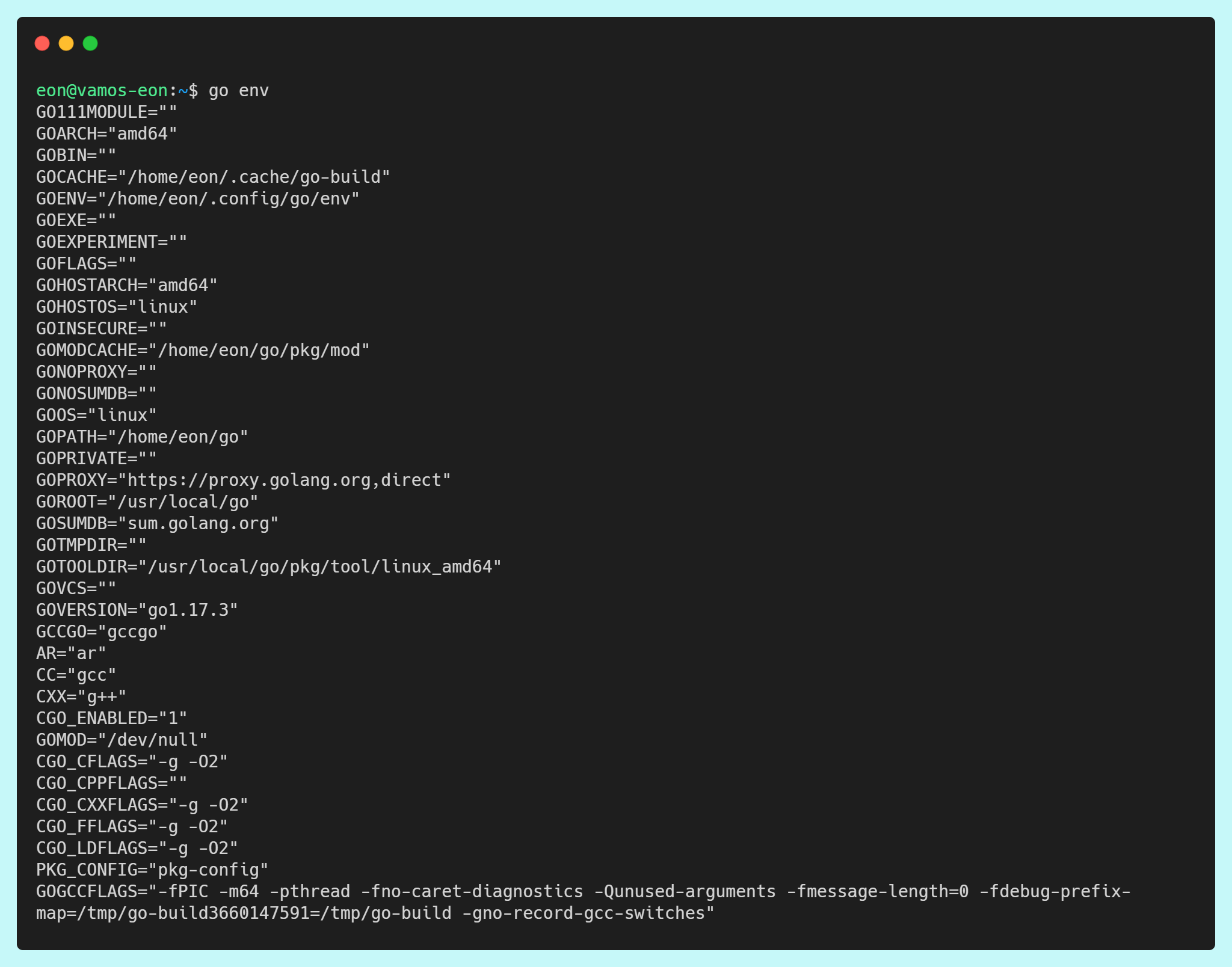 Golang 기초 2 설치 및 개발 환경 설정