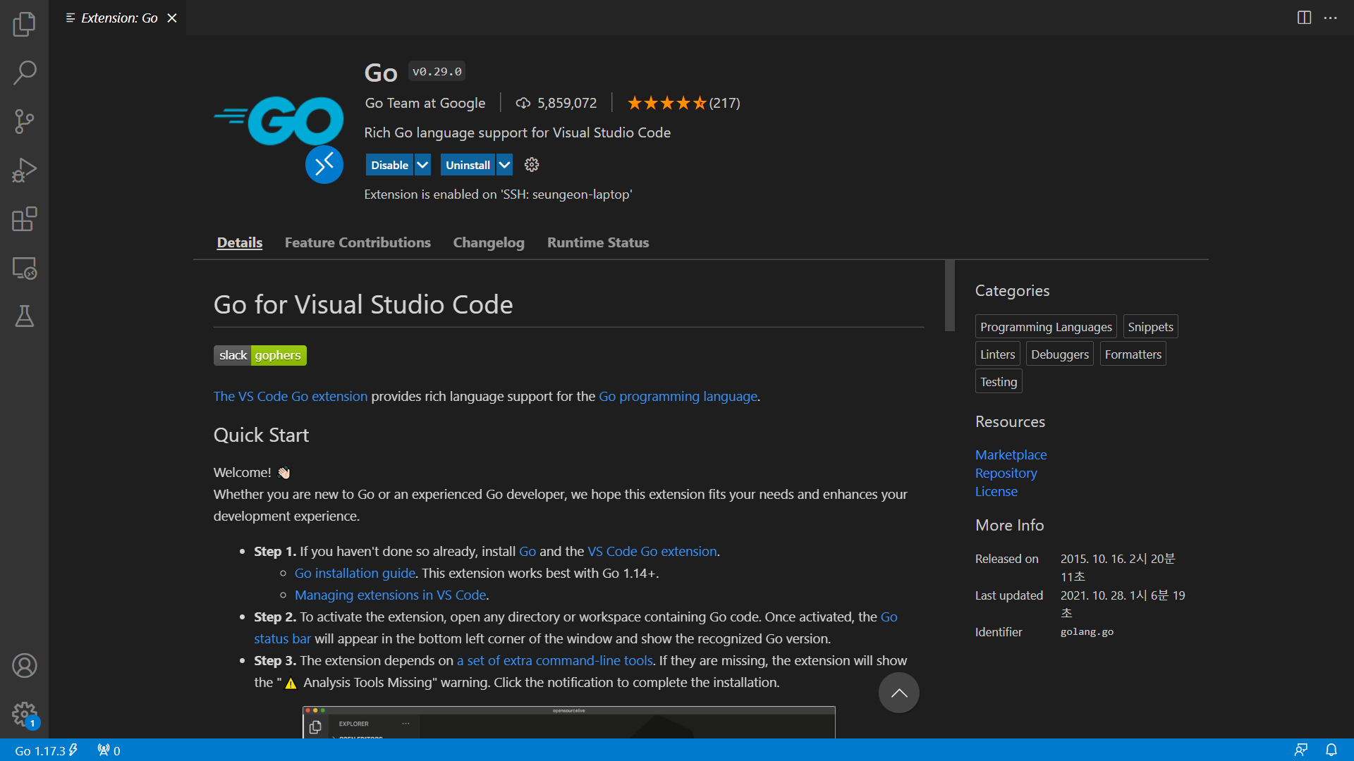 Golang 기초 (2) : 설치 및 개발 환경 설정