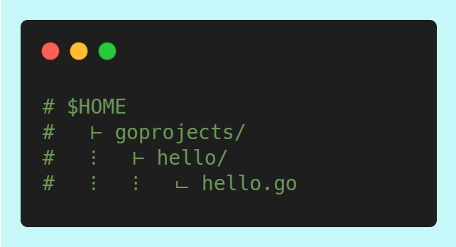 Golang 기초 (2) : 설치 및 개발 환경 설정