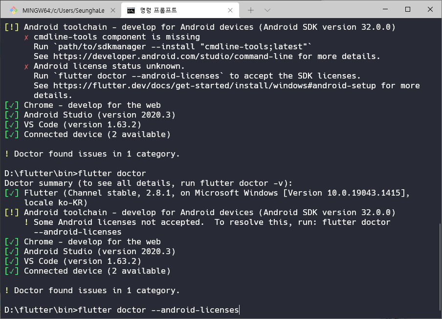 flutter doctor 오류 해결