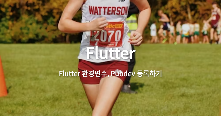 [Flutter] Flutter 환경변수, Pubdev 등록하기