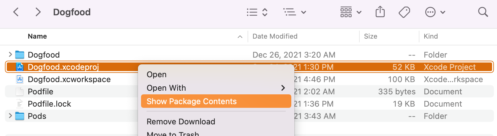 Xcode Project Sneak Peek