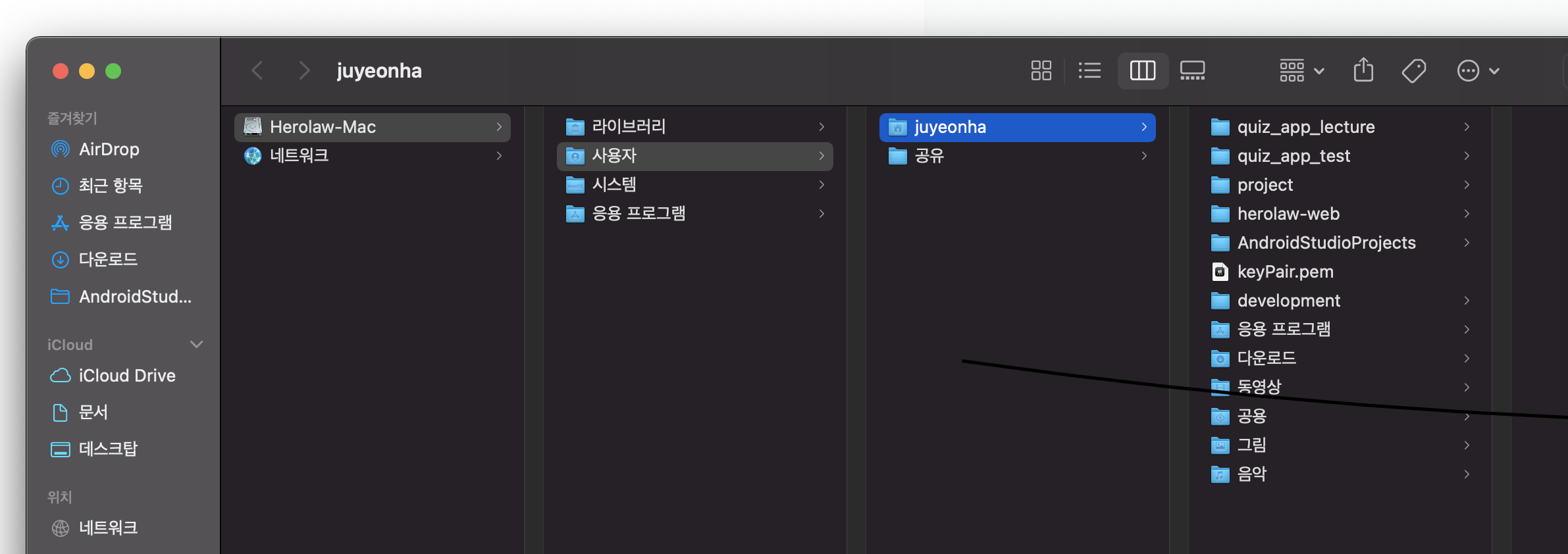 flutter 설치 (with vscode)