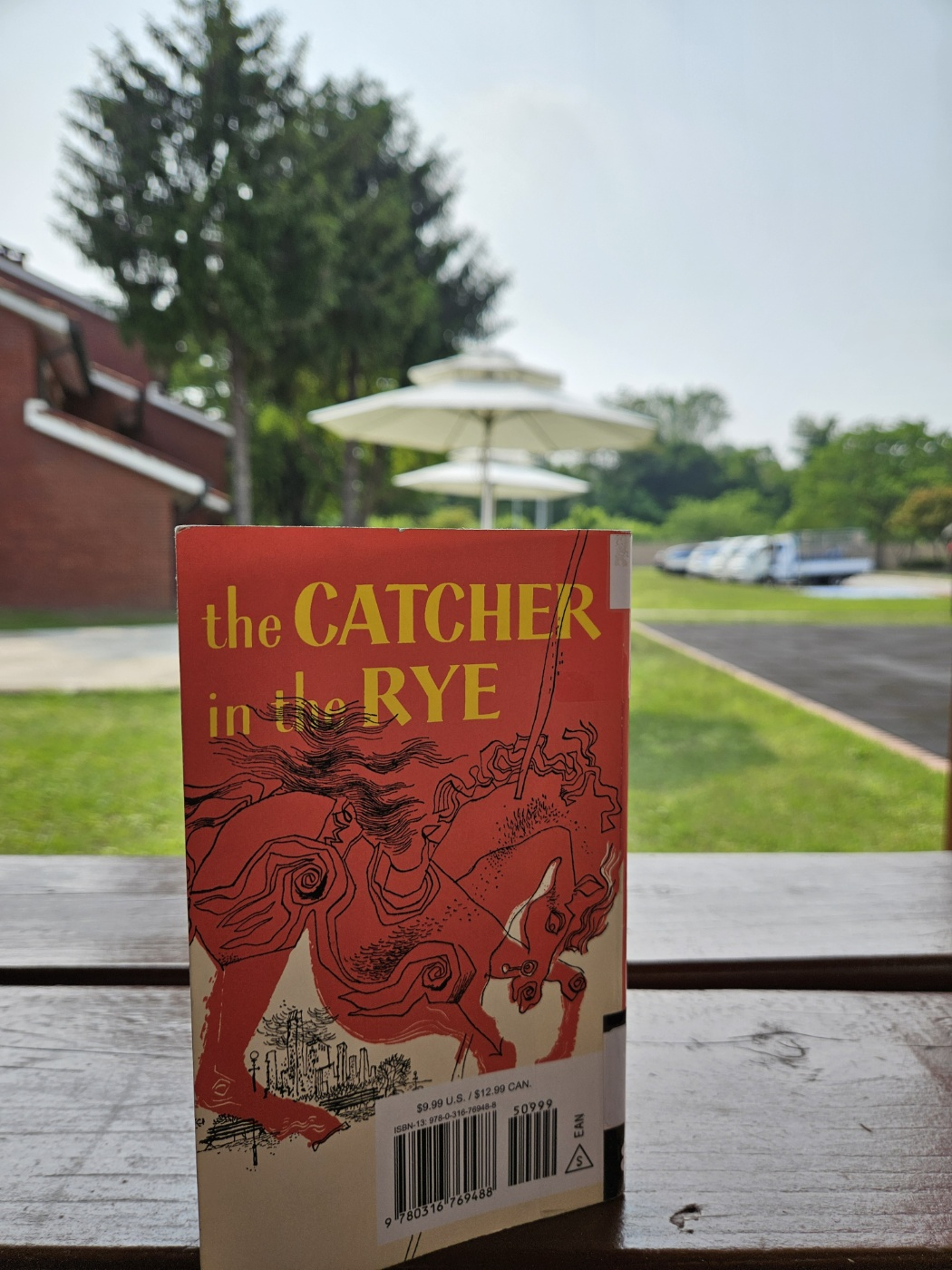 Book Review: The Catcher In the Rye