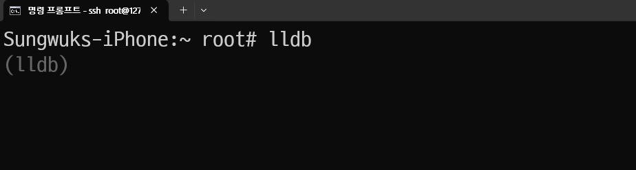 iOS lldb 디버거 방법