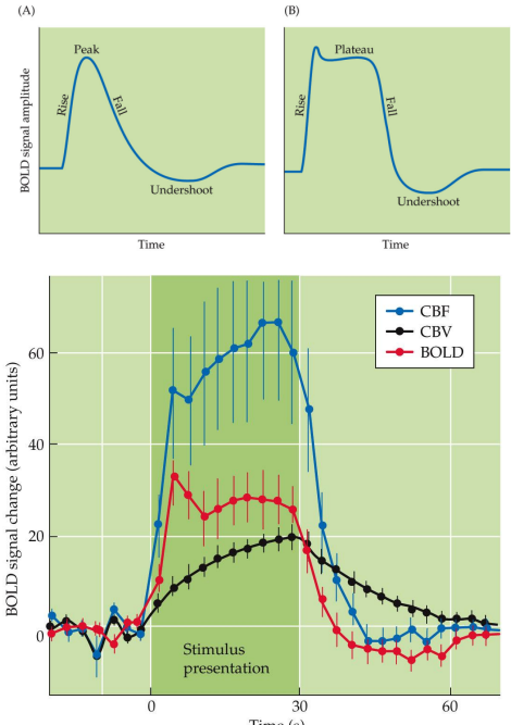 의료영상처리 기말고사