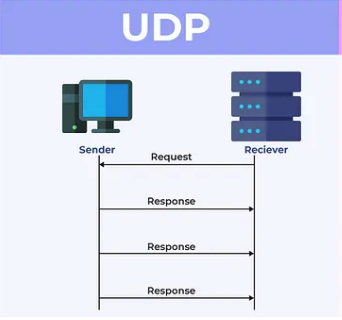 UDP에 대하여
