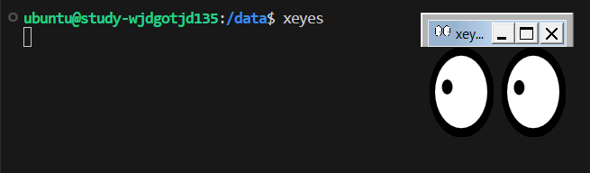 VScode X11 Forwarding