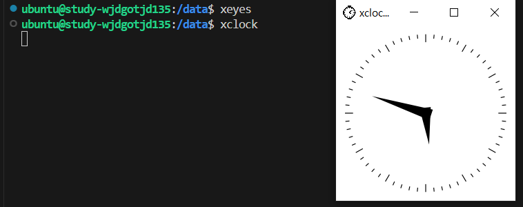 VScode X11 Forwarding