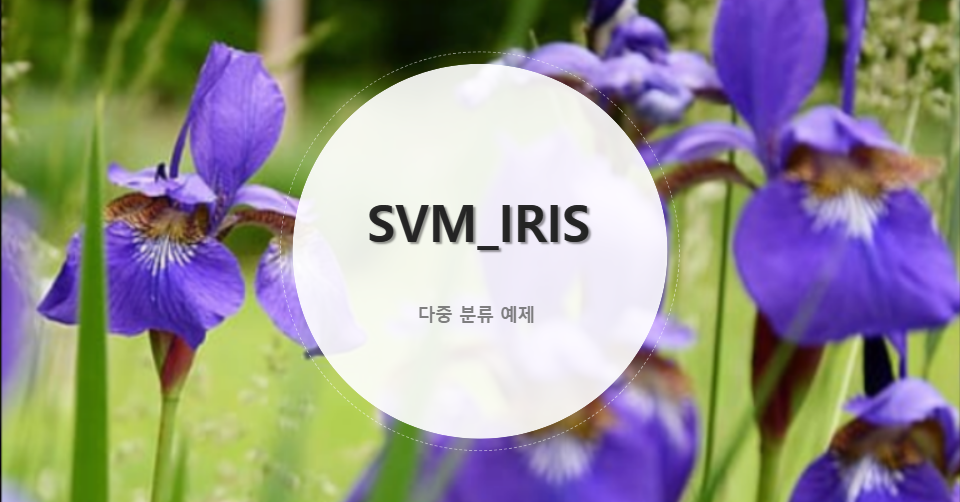 (다중 분류)SVM_IRIS