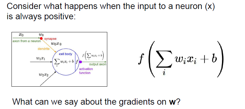 CS231n - CNN for Visual Recognition. Lecture 6: Training Neural Networks 1