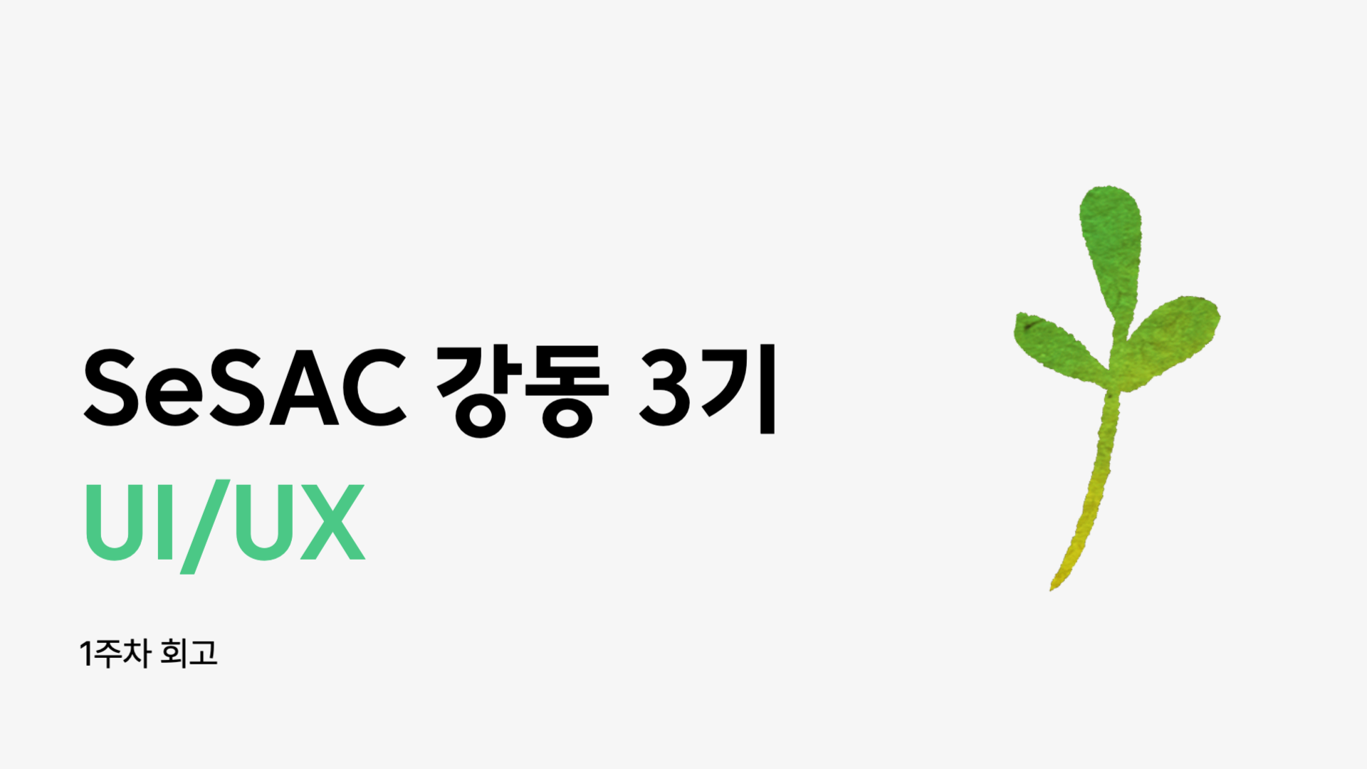 [SeSAC] 웹 프론트엔드 과정 1주차 UI/UX란?