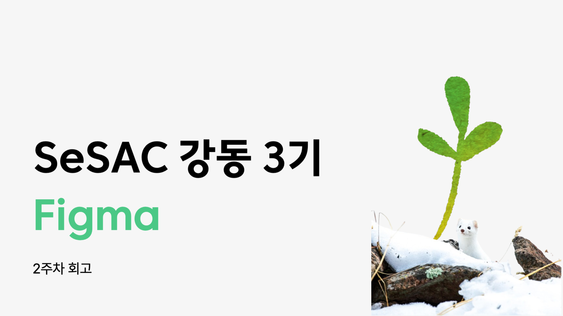 [SeSAC] 웹 프론트엔드 과정 2주차 Figma Pathfinder, Layer, 스타일 등록