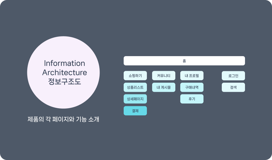 [내일배움캠프] 241030 TIL