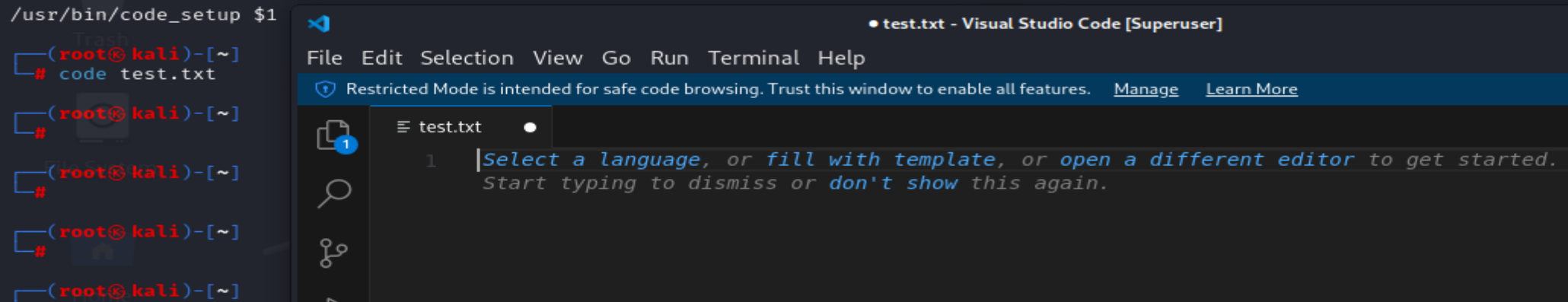 How to set up Visual Code in Kali