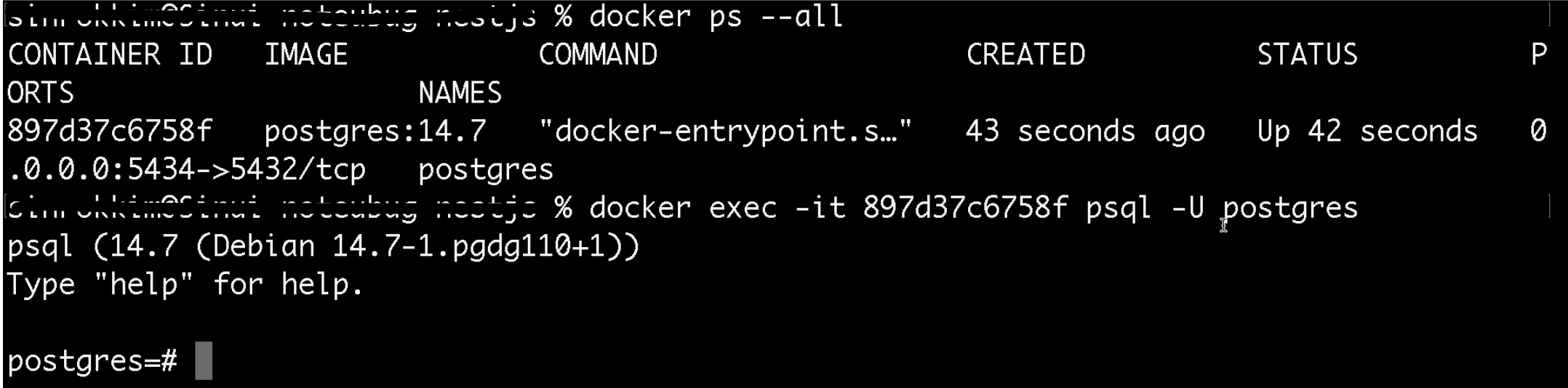 도커로 로컬환경에 postgres 설치