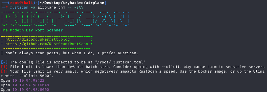 [tryhackme] airplane